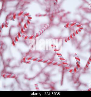 Candy Cane icon 3d illustration on Violet background Stock Photo - Alamy