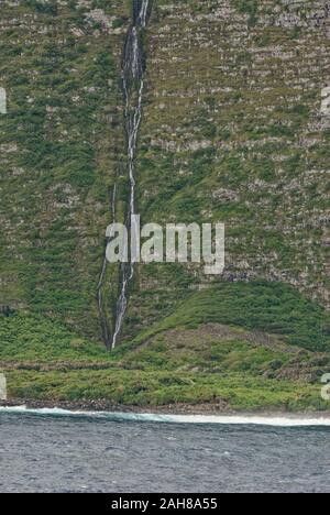 Molokai's Sea cliffs, the tallest on earth, Molokai, Hawaii Stock Photo ...