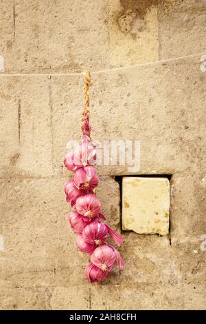 Fresh garlic in bundle dried under rural house roof. Organic product ...