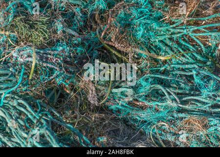 A tangled mass of plastic waste and fishing nets washed up on the shore ...