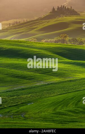 Wide angle view of an iconic Tuscanian rural landscape, with a patch of ...