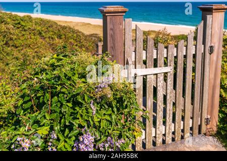 'Sconset Bluff Walk in Nantucket, Massachusetts Stock Photo - Alamy