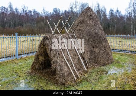 Lenin's hut near lake Razliv, Leningrad region, Russia Stock Photo - Alamy
