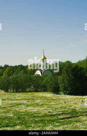 Orthodox white chapel in Moscow park in Russia background Stock Photo ...