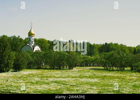 Orthodox white chapel in Moscow park in Russia background Stock Photo ...