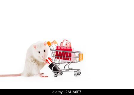 rat holding shopping cart with shopping bags on white background in New ...