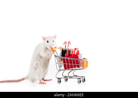 rat holding shopping cart with shopping bags on white background in New ...