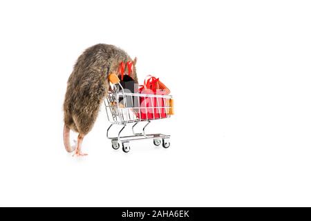 rat holding shopping cart with shopping bags on white background in New ...