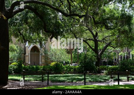 congregation mickve israel synagogue monterrey square savannah georgia ...