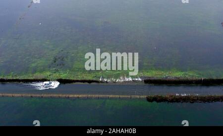 Floods, River Avon near Ringwood Stock Photo - Alamy