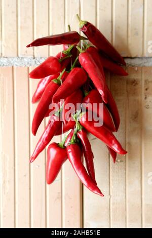 Red Chilli Peppers Hung to Dry Outside a Window in Bhutan Stock Photo ...