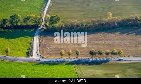 The colours of autumn in the Sauerland, Germany, Europe Stock Photo - Alamy