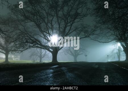 A mysterious country road with trees silhouetted by a glowing light. On ...