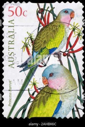 Australian Princess Parrot Polytelis alexandrae standing on a tree ...