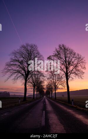 Gehrden, Germany. 28th Dec, 2019. A tree with mistletoe appears on the ...