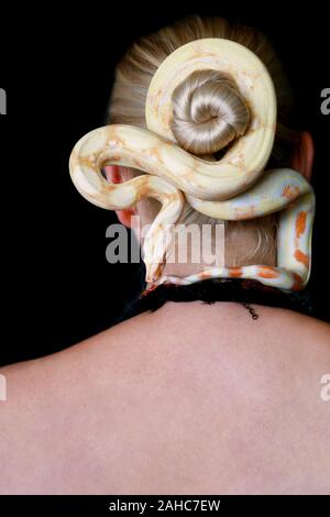 Wild pet snake slithering around the water garden Stock Photo - Alamy