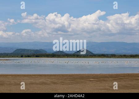 Lake Elementaita scenic with flamingoes, Rift Valley, Kenya Stock Photo ...