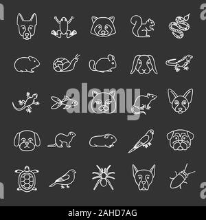 Pets chalk icons set. Exotic animals. Rodents, birds, reptiles, insects ...