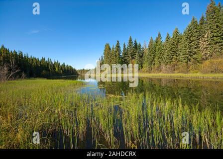 Waskesiu River, Prince Albert National Park, Saskatchewan, Canada Stock ...