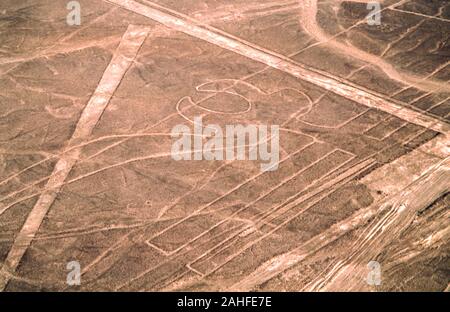 Aerial View of The Parrot Geoglyph at the Nazca Lines in Peru Stock ...