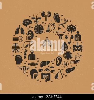 Woman anatomy cardiovascular system with skeleton and internal organs ...