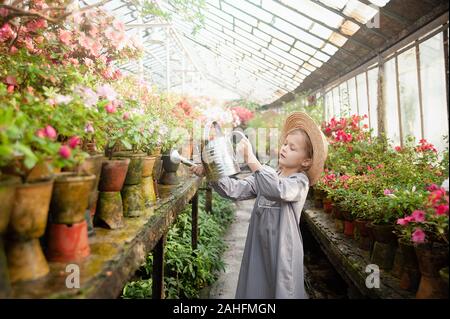 Child planting spring flowers. Little girl gardener plants azalea ...