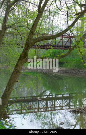Bluebells, 3 Creeks Metropark, Columbus, Ohio Stock Photo - Alamy