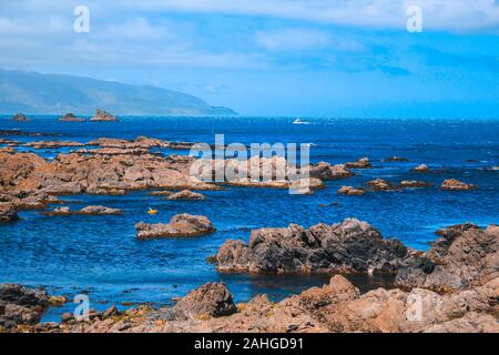 Beautiful coastline at Owhiro Bay in Wellington, North Island, New ...
