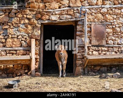 Livestock farming, Greece Stock Photo - Alamy