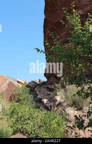 Red rock formations jutting out of the ground surrounded by shrubs ...