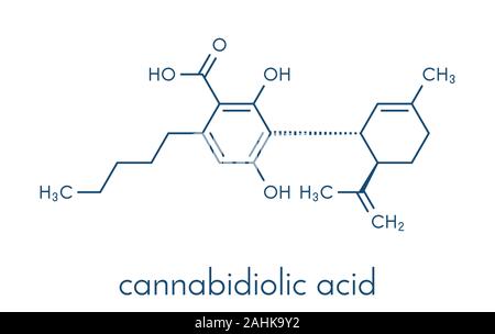 Cannabidiolic acid or CBDA cannabinoid molecule. Skeletal formula Stock ...