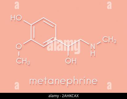 Metanephrine (metadrenaline) molecule. Metabolite of epinephrine that ...