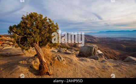 Coachella Valley from Keys View, Joshua Tree National Park Stock Photo ...