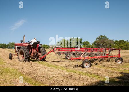 Man on International Harvester Farmall tractor pulling a hay rake to ...