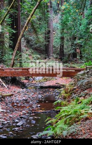 Ancient Bridge over stream in Yorkshire, England Stock Photo - Alamy