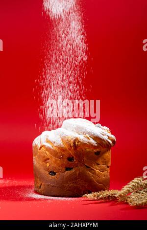 One panettone sweet bread , traditional Italian food on a dark ...