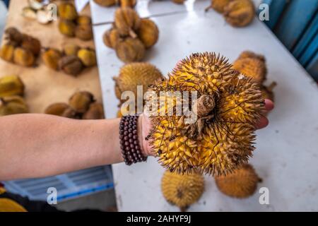 Wild durians at Marudi (Baram) market, Sarawak, Malaysia Stock Photo ...