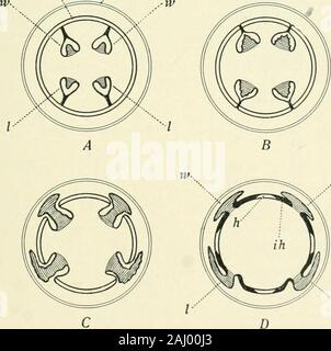 Val 220 6 Stock Photo - Alamy