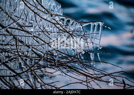 Ice icicles on tree branches on the shores of Lake Michigan Stock Photo ...