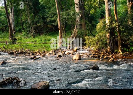 Chinnar river flowing through Chinnar Wildlife Sanctuary Stock Photo ...