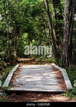 wooden bridge built in the woods with local material Stock Photo - Alamy