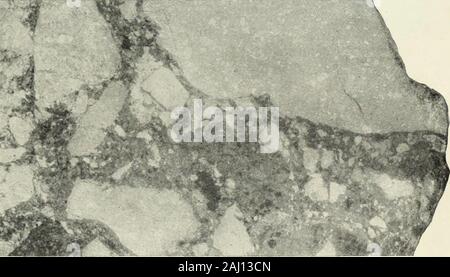 The ore deposits of Utah . ^•^- A. MINERALIZED LIMESTONE BRECCIA, OLD ...