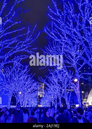 Shibuya Blue Cave winter illumination festival, beautiful view, popular ...