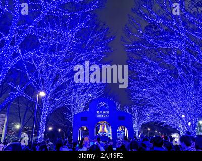 Shibuya Blue Cave winter illumination festival, beautiful view, popular ...