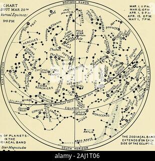 Different constellations in starry sky over conifer forest at night ...