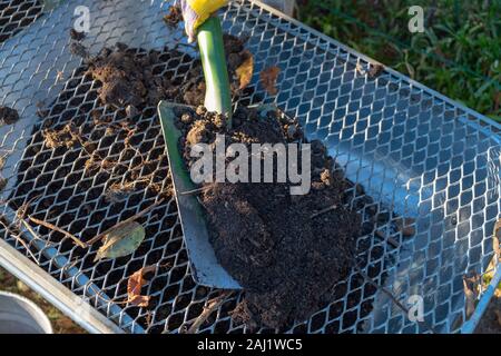 Sieve topsoil with a sieve Stock Photo - Alamy