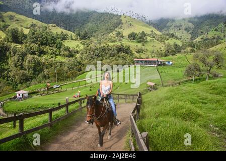 Horse riding under wax palms in the Cocora Valley, Salento, Colombia ...