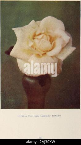 Souvenir du Président Carnot Stock Photo - Alamy