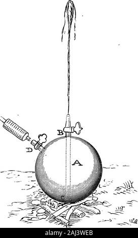 Porta apparatus 1601 Stock Photo - Alamy