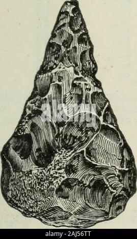 Stone Age Flint Stone Arrow Heads isolated on white Background Stock ...